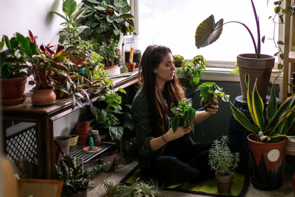 How To Take Care Plants Different Types Of Garden Plants AndraUrsuta